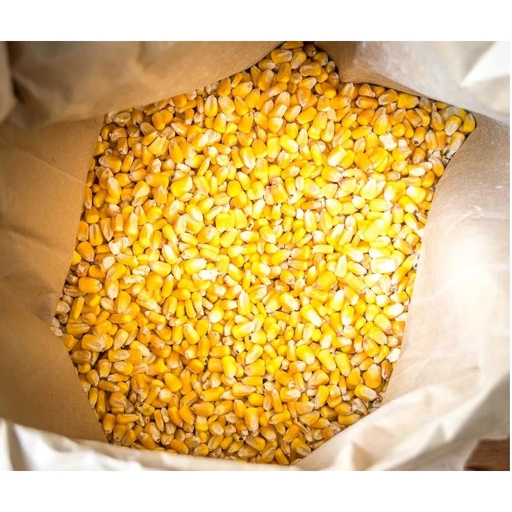Brazil Yellow Corn Milho Maize